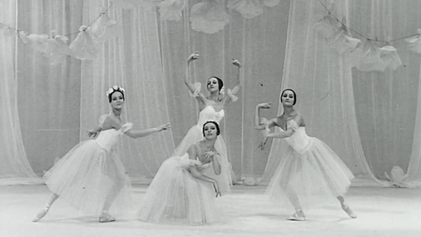 The best of ballet — medici.tv