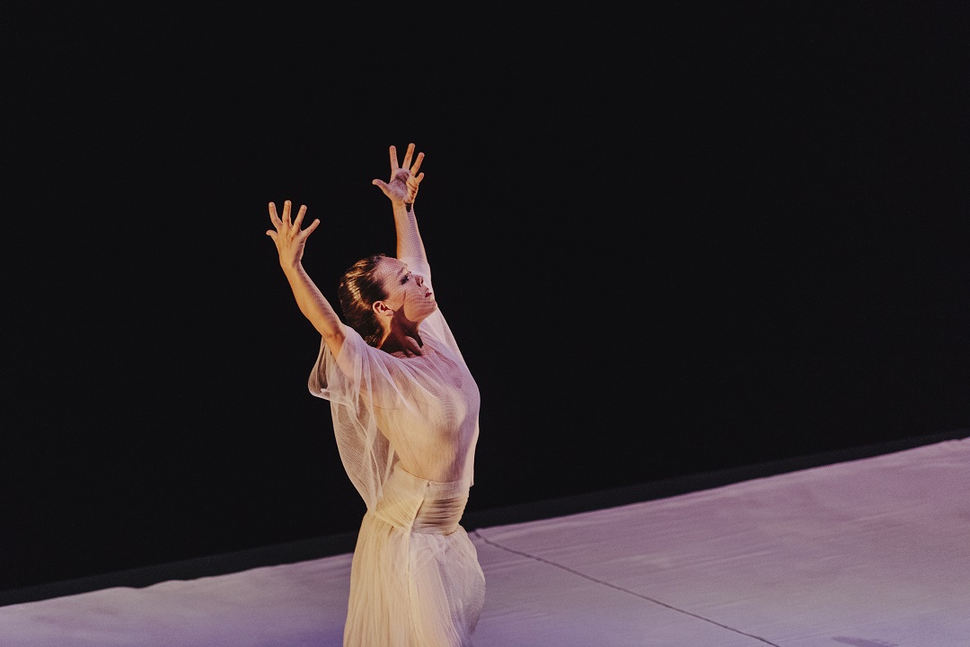 The best of ballet — medici.tv